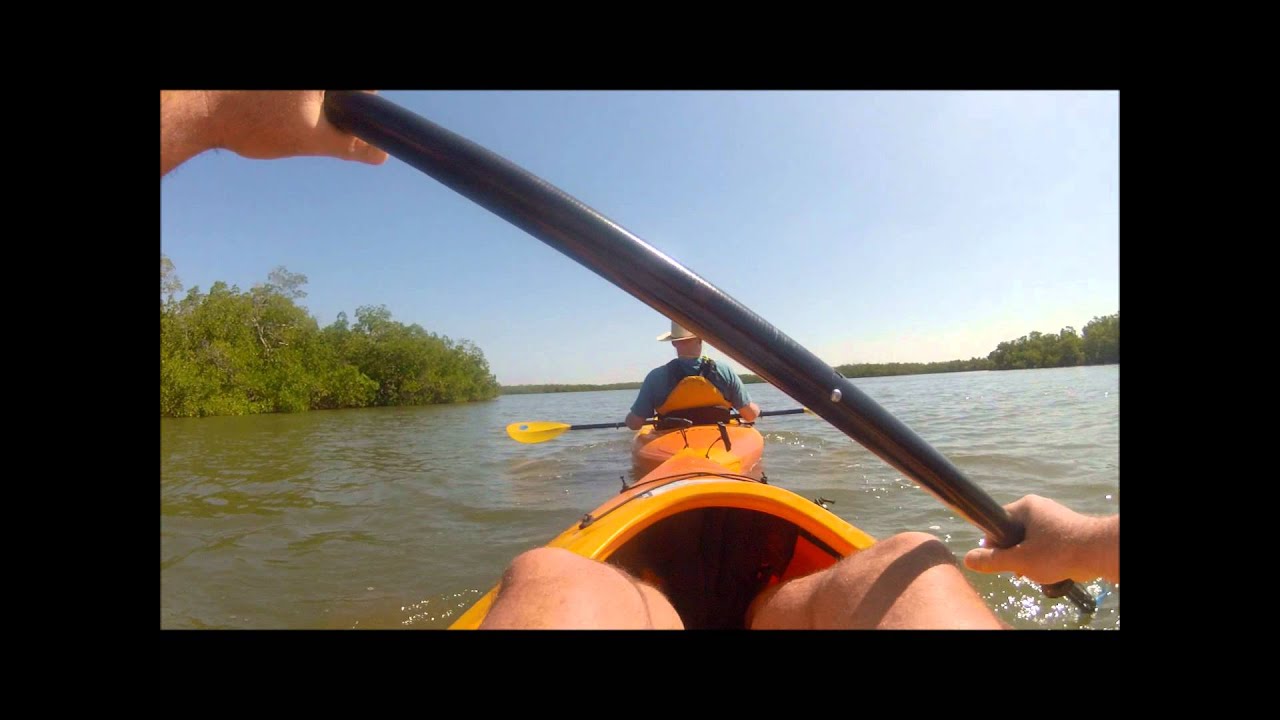 Kayaking The Great Calusa Blueway - YouTube