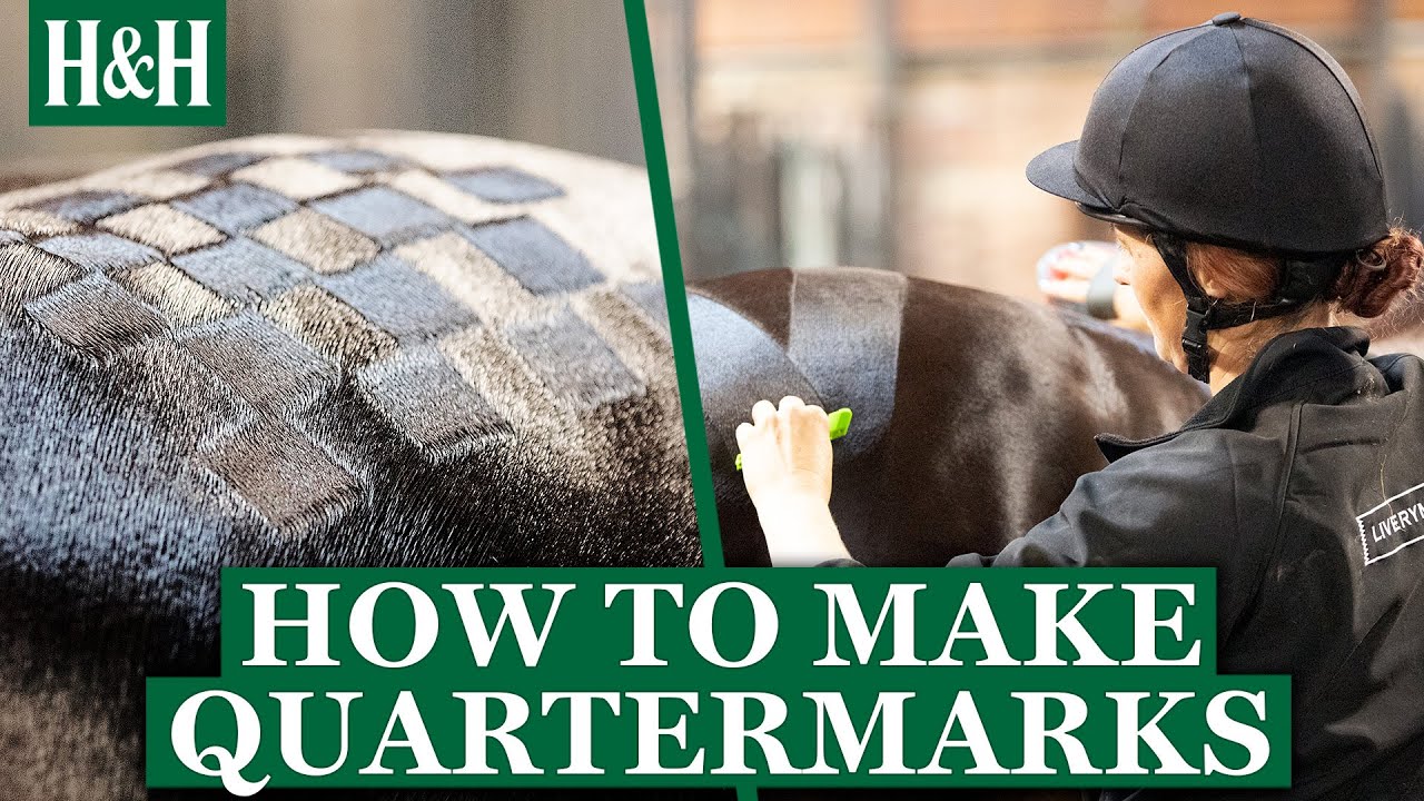 How To Achieve Perfect Quarter Marks | Horse & Hound - YouTube