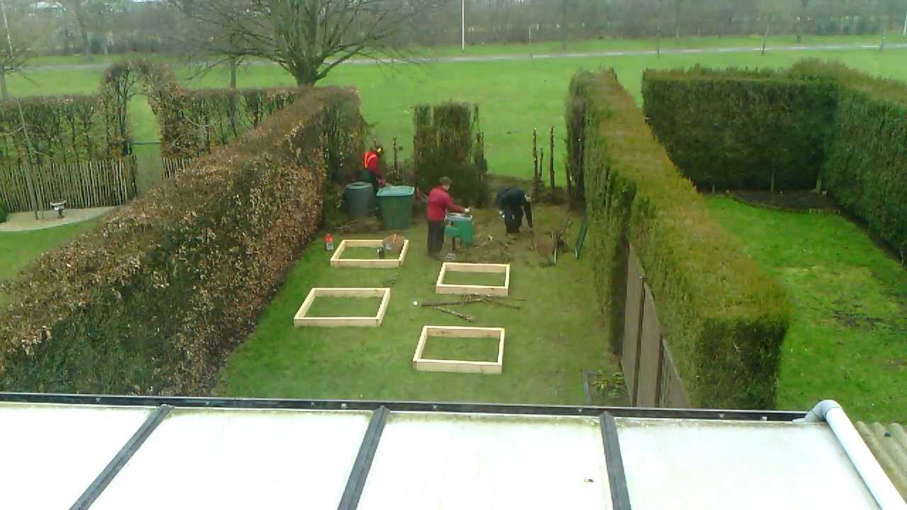 Removing the hedge - Day 1 - YouTube
