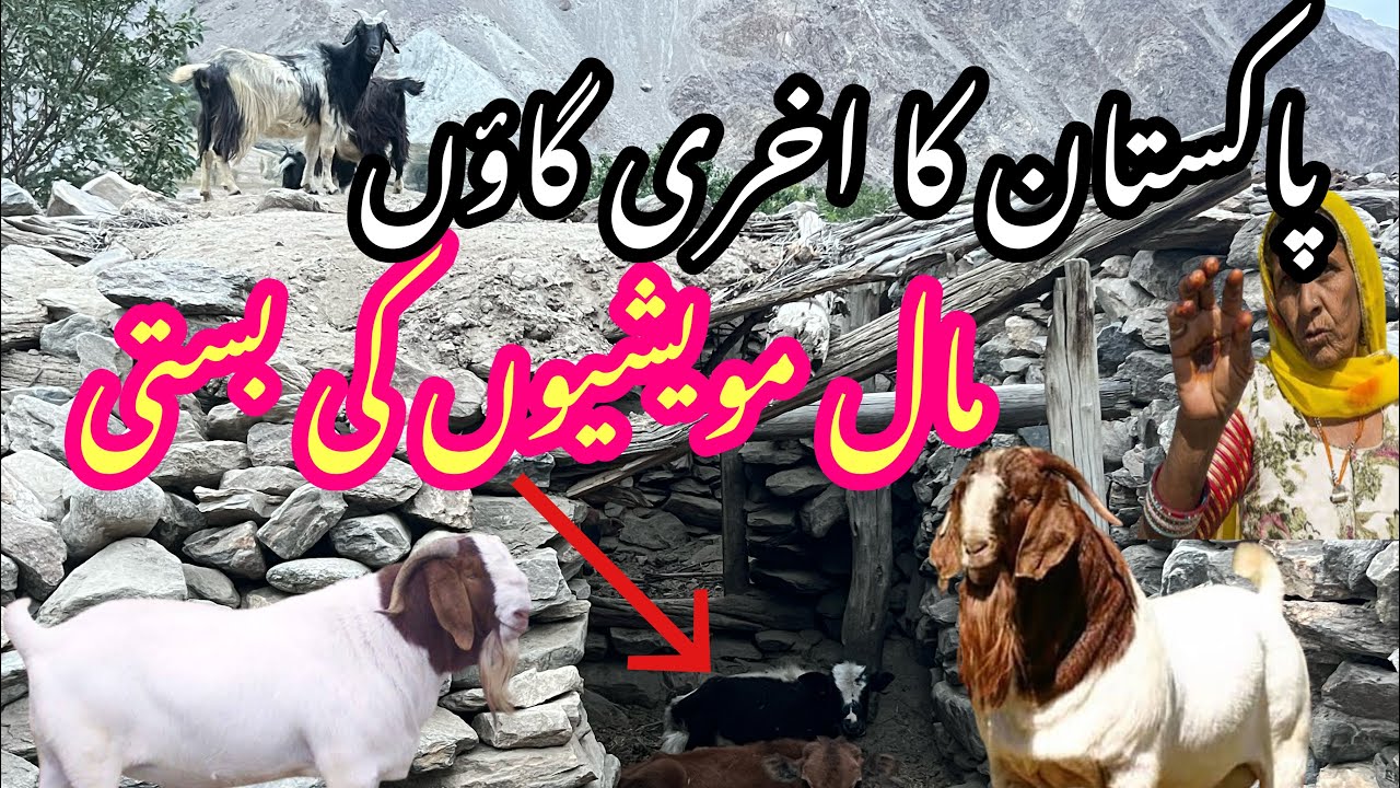 Mountain Village where there is a colony for goats / Unique Village of ...