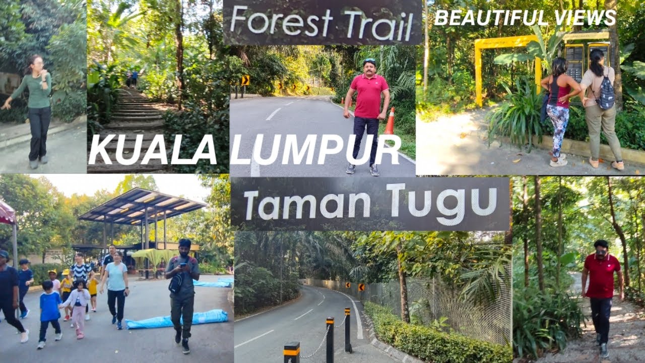 TAMAN TUGU FOREST TRAIL #BEAUTIFUL VIEWS# KUALA LUMPUR MALAYSIA🇲🇾 - YouTube