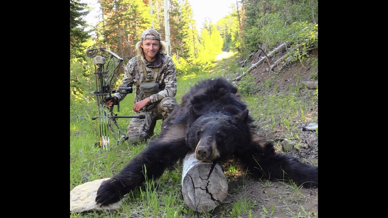 Utah 2021 Archery Black Bear Hunt - YouTube