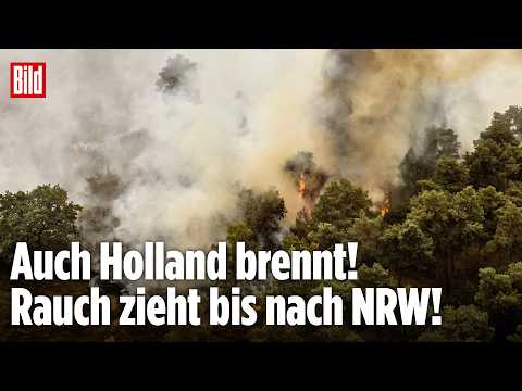 HOLLAND: Waldbrand an Grenze zu Deutschland außer Kontrolle! Wind erschwert Löscharbeiten!