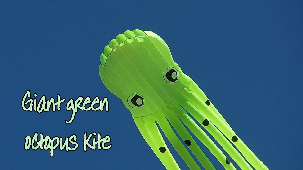 Giant green Octopus kite - YouTube