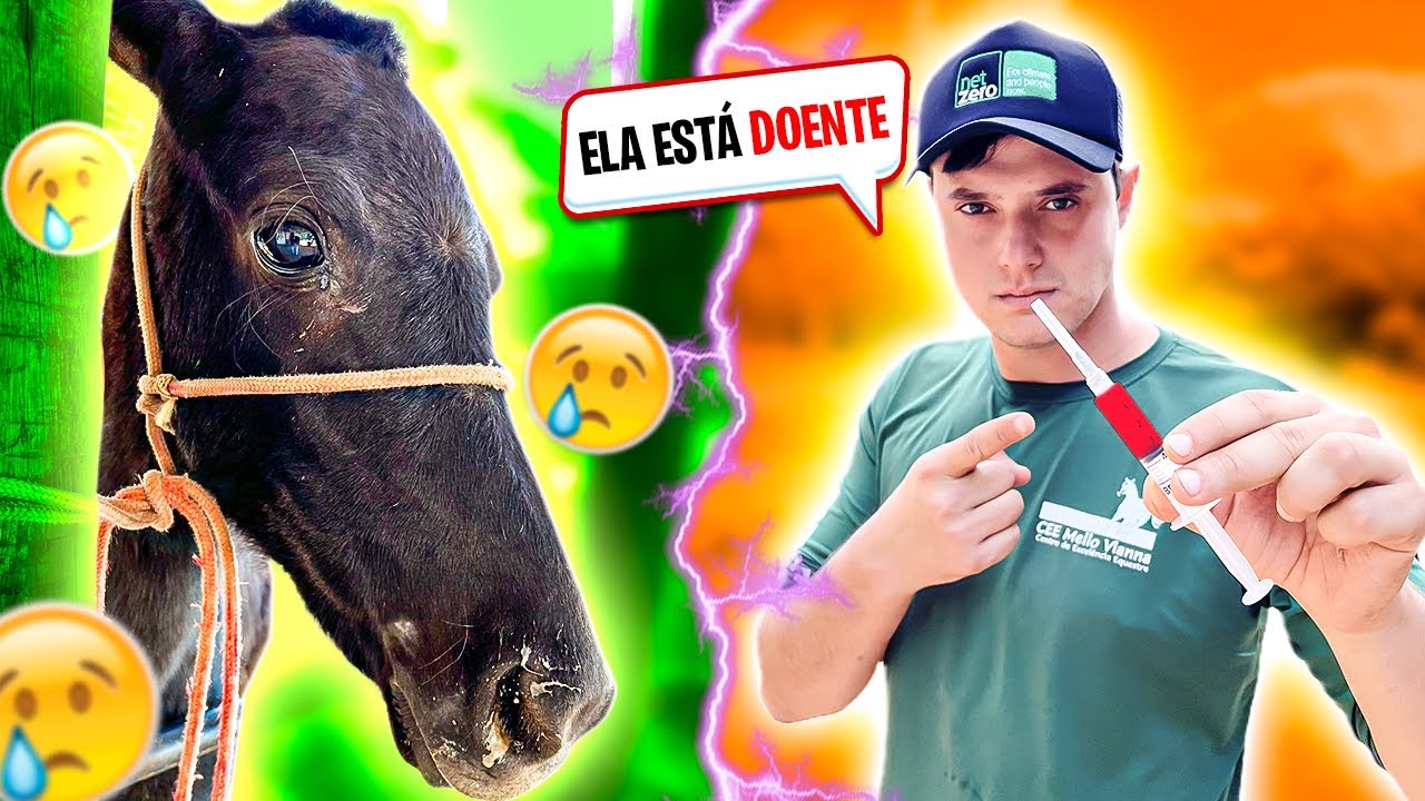 POTRA DOENTE 😭 - YouTube