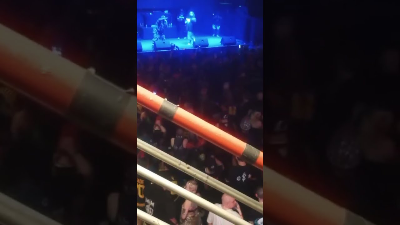 Words From Woody Woo: - YouTube