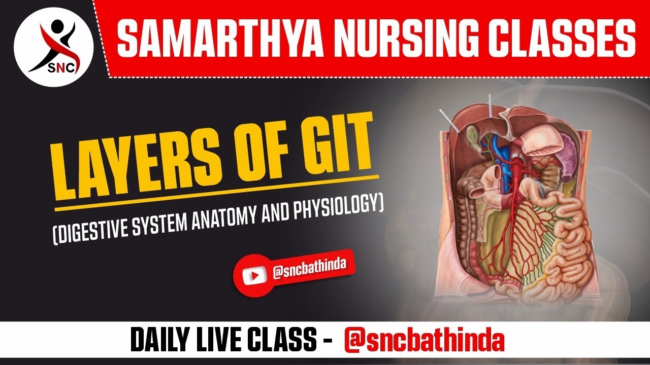LAYERS OF GIT (DIGESTIVE SYSTEM ANATOMY AND PHYSIOLOGY) - YouTube