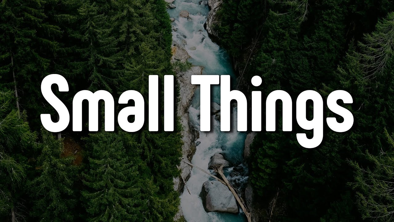 Declan J Donovan - Small Things (Letra/Lyrics) | Official Music Video ...