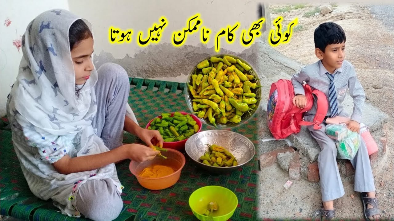 Mirchon ka achar banain bohat asan se || Punjabi vlog || daily routine ...