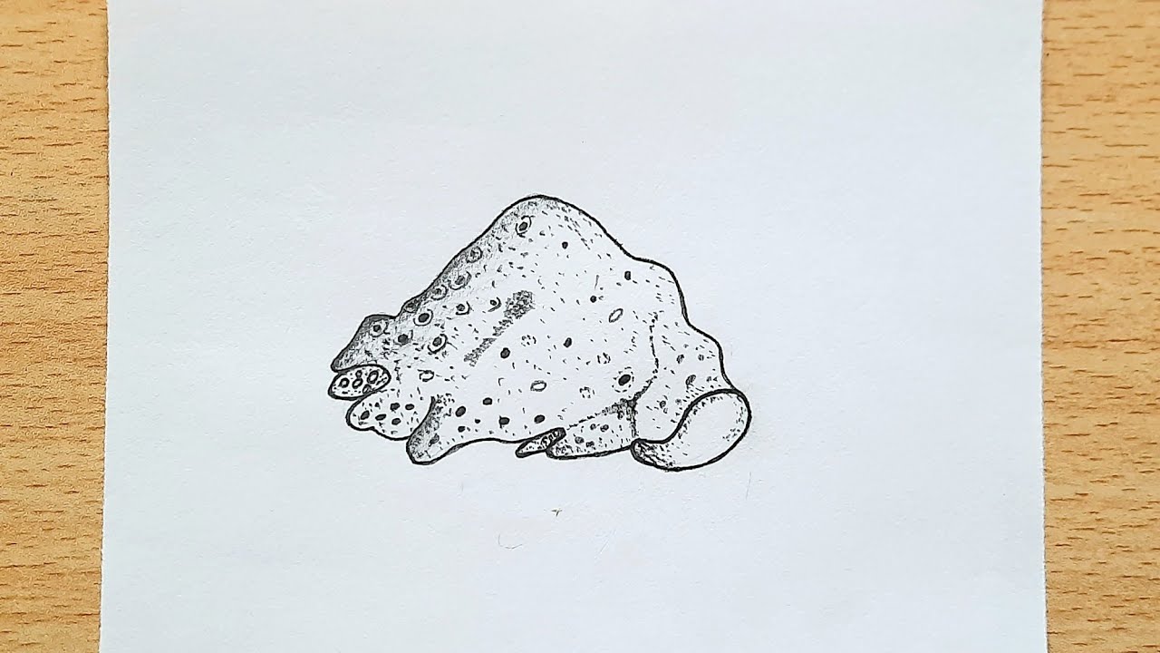 How to draw a Cliona (easy way) // step by step #video - YouTube