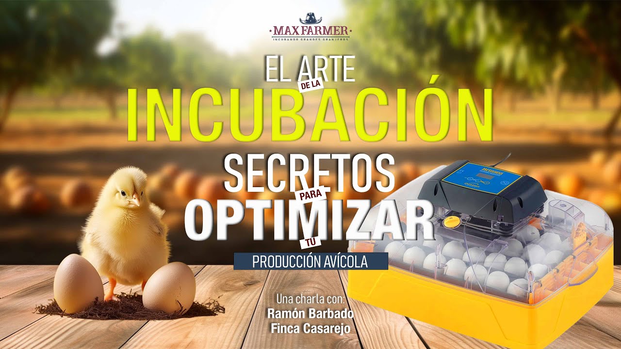El Arte de la Incubación: Secretos para Optimizar tu Producción Avícola ...