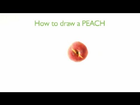 How to Draw a Peach : How to Draw Fruits - YouTube
