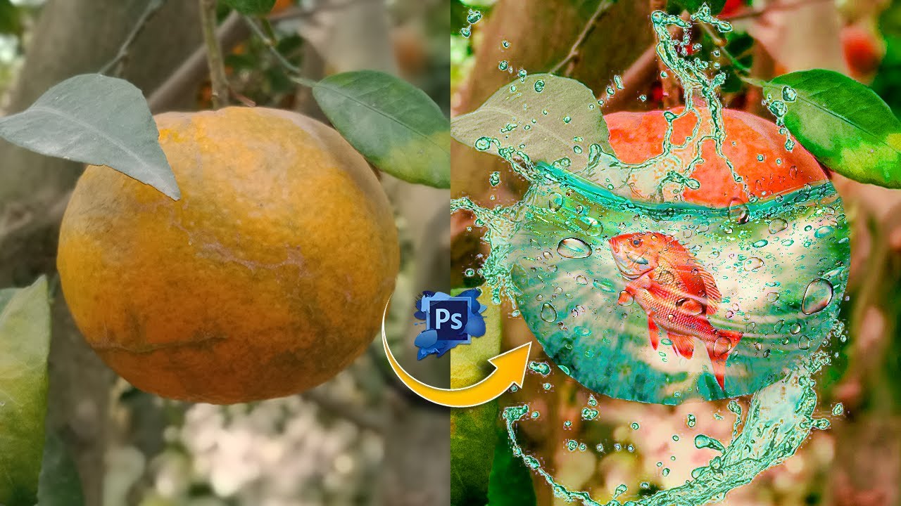 Transform Ordinary orange photo into magic orange |photo manipulation ...