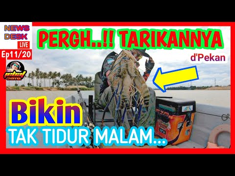 Mancing Udang Galah | Tarikannya Bikin Tidak TIDUR Malam (Giant Freshwater Prawn Fishing)