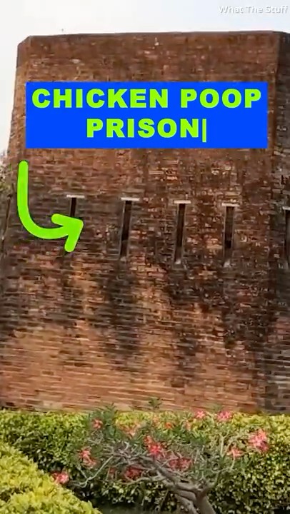 Thailand’s Most Disgusting Torture Method: The Chicken Poop Prison ...