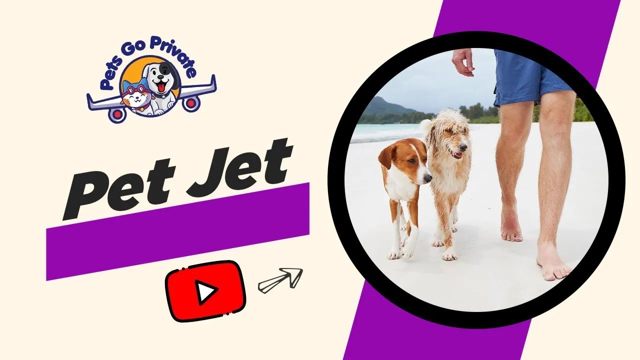Pet Jet - J.W. Oliver - YouTube