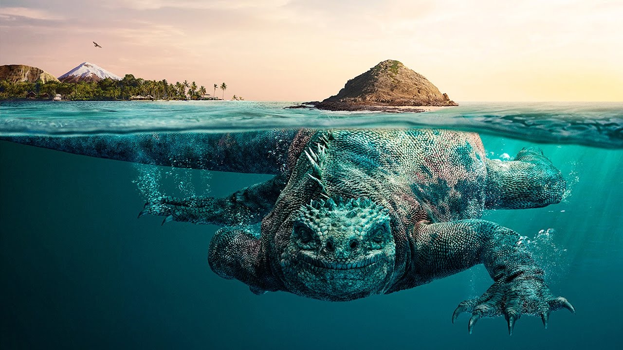 Top 5 Mysterious Creatures That Washed Up On Beaches #2 - YouTube