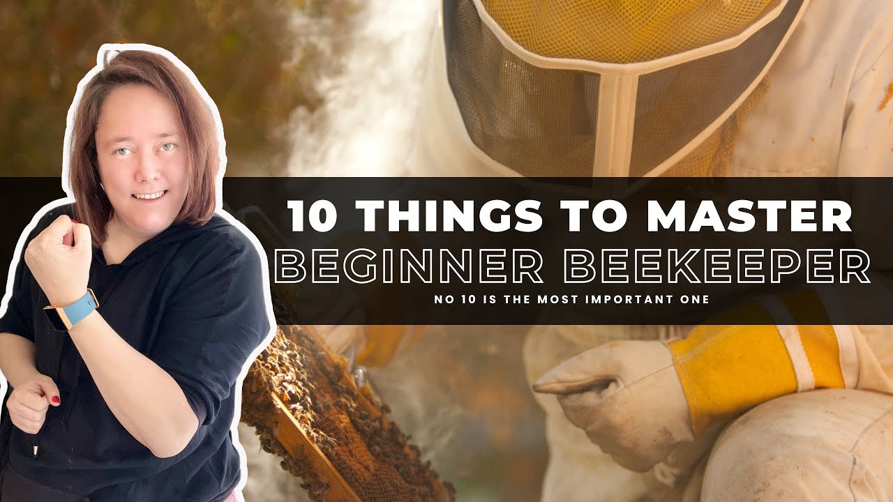 10 Things every beginner beekeeper needs to master | Beginner beekeeper ...