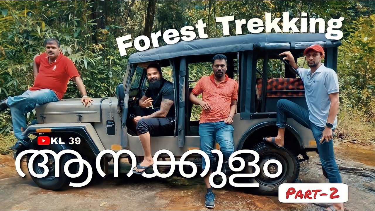 ആനക്കുളം Forest Trekking | Anakulam | Mankulam | 33 waterfalls | Home ...
