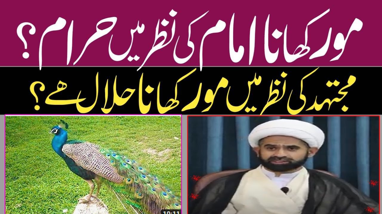 Eating Pea Cock issue | Allama Jafar Yasoubi - YouTube