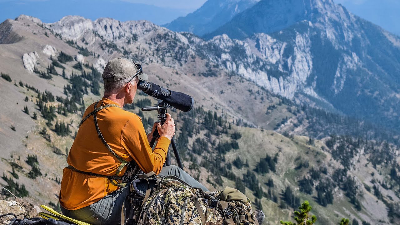 Mountain Goat Survey with Rocky Mountain Goat Alliance - YouTube