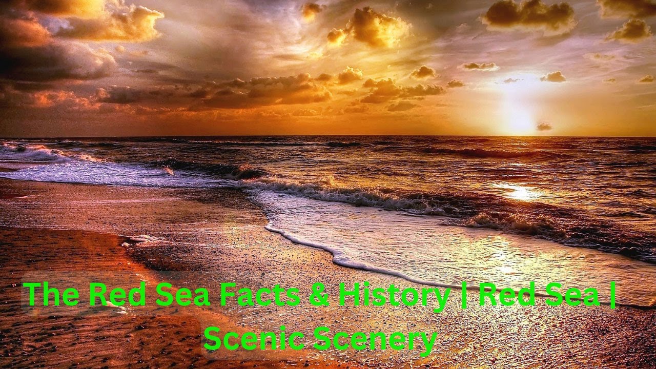 The Red Sea Facts & History | Red Sea | Scenic Scenery - YouTube