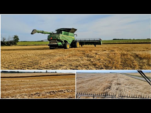 90bu Wheat? 😳