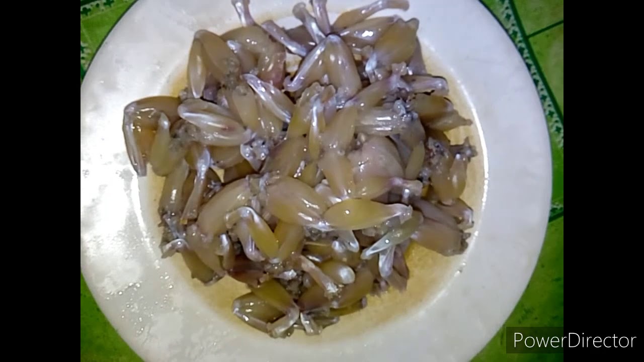 Spicy Crispy Frog - YouTube