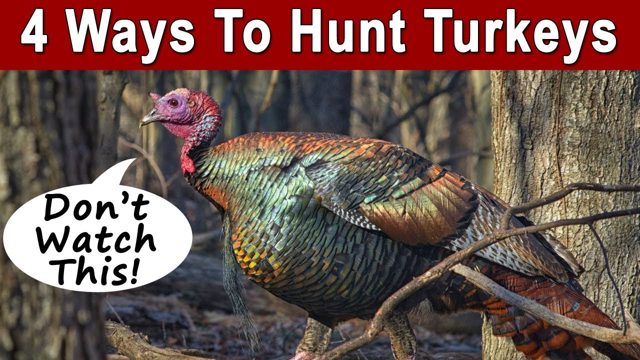 4 Strategies To Hunt Spring Turkey | How Beginners Can Succeed! - YouTube