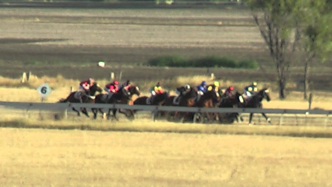 Thangool Races 23/05/2015 - YouTube