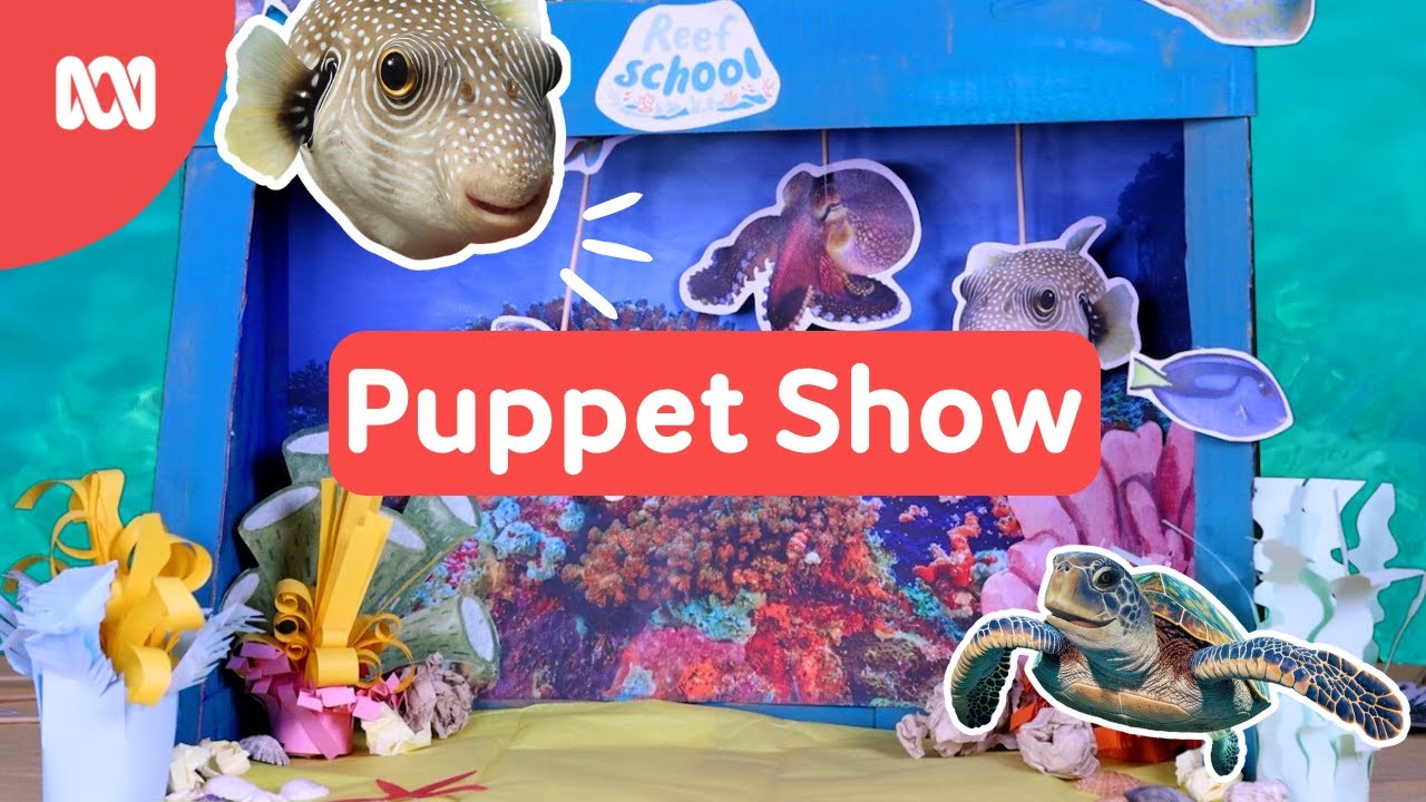 Reef School Swimming RACE 🐟🐟🐟| Puppet Show - YouTube