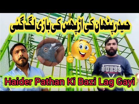 Bazi Lag Gayi 😎 || Haider Pathan Pigeons || Khokhar Pigeons Club ...