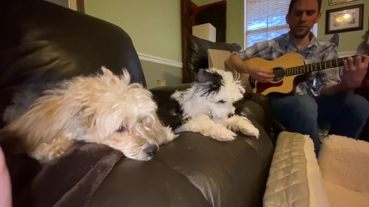 The Talented Mr. Oakley - YouTube