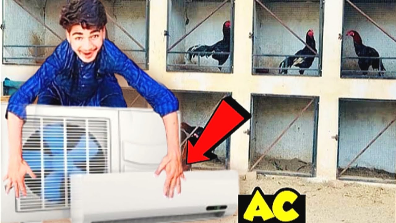 Sab Pets Ka Liya ( Ac ) Ka Surprise 😍 - YouTube