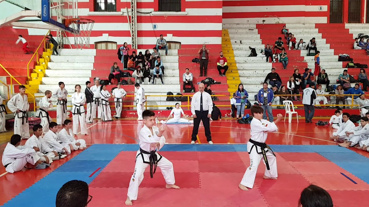 Torneo internacional de TKD ITF. Tarija Bolivia 2018 - YouTube
