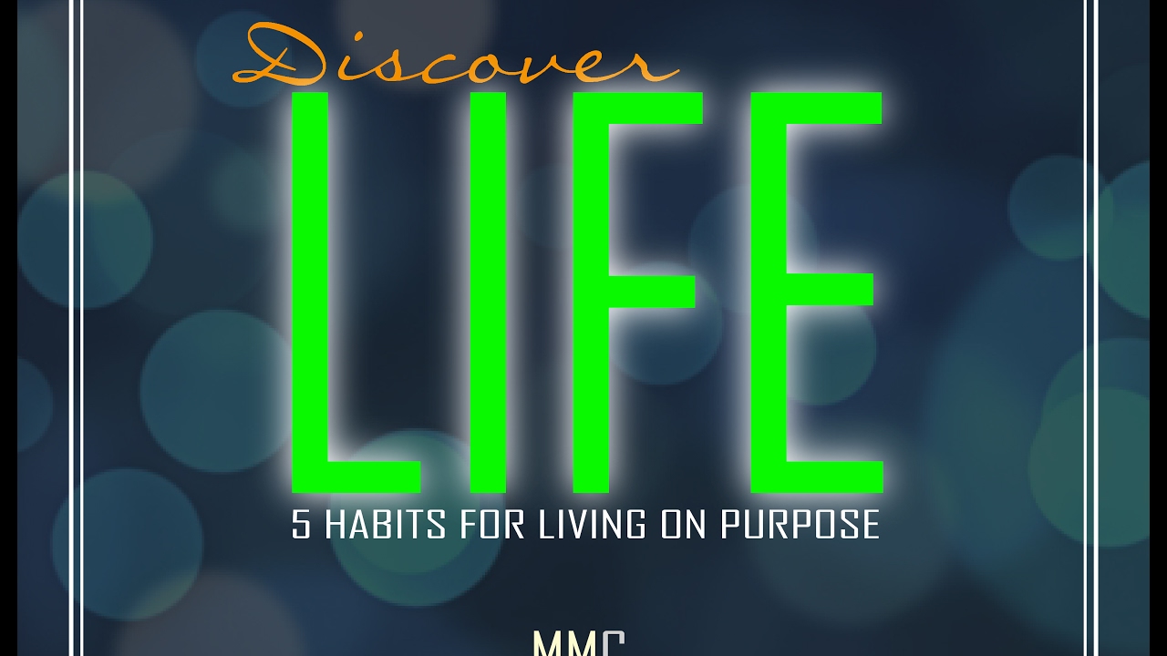Discover Life Part 5 - YouTube