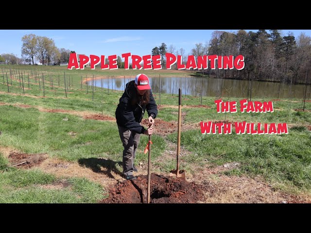 Apple Farm Garden