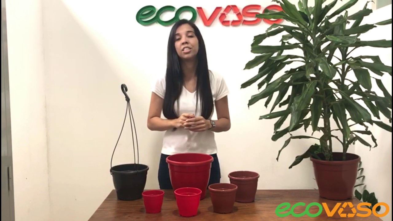 Vasos Plásticos Ecovaso - Linha Classic - YouTube