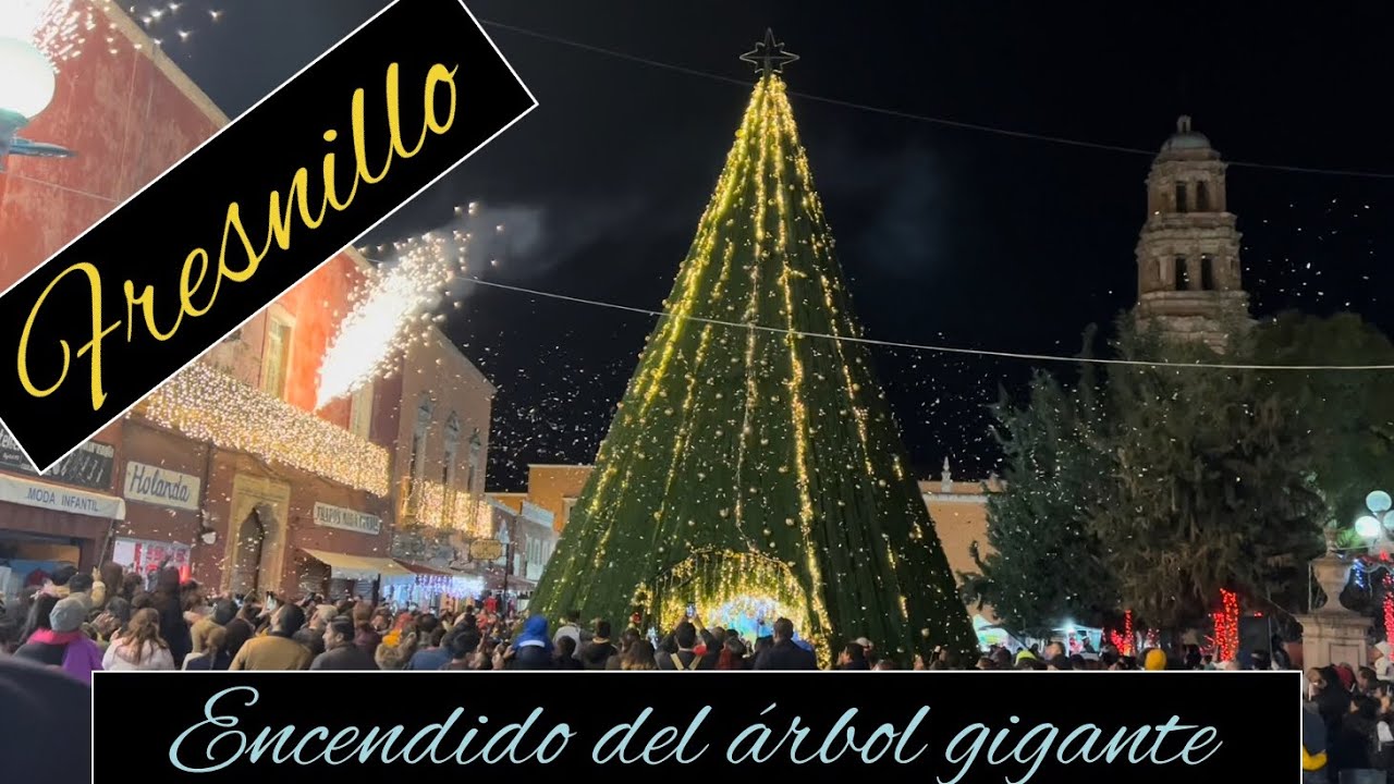 ACABA DE PASAR EN FRESNILLO ENCENDIDO DEL ÁRBOL GIGANTE - YouTube