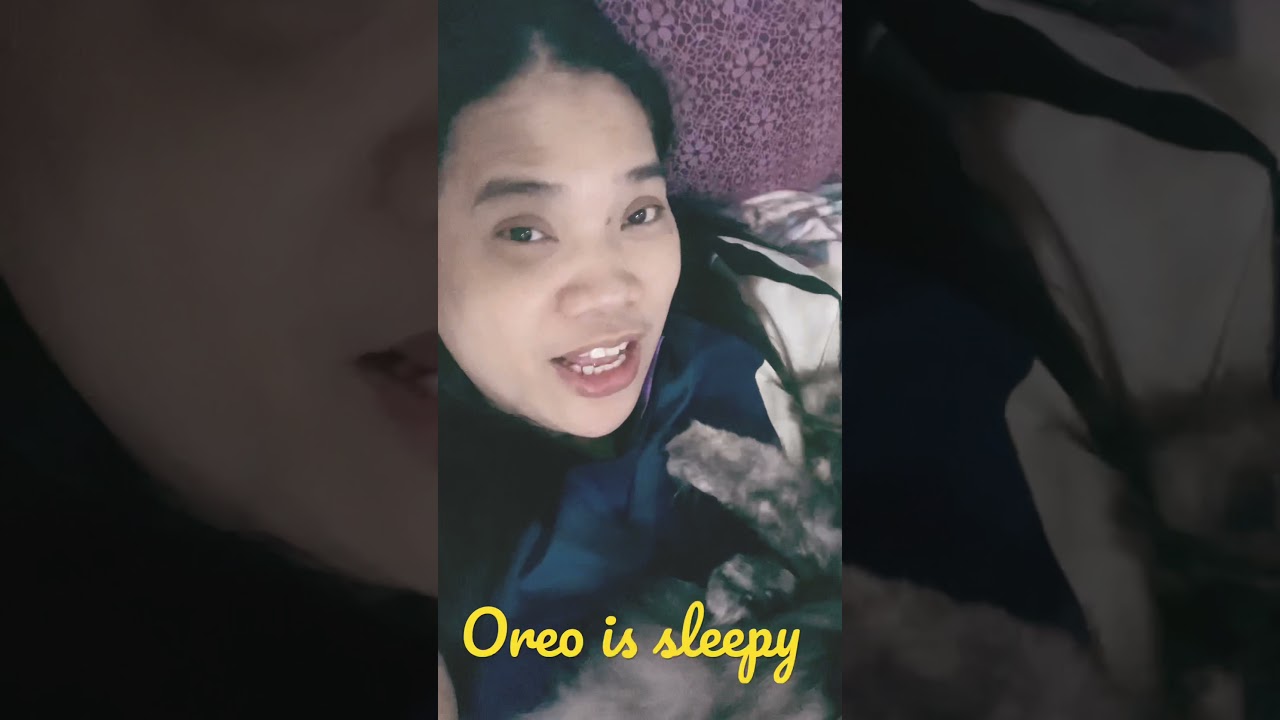 SLEEPY OREO - YouTube