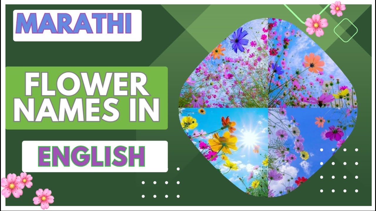 Flower Names in Marathi and English with photos and spelling for ...