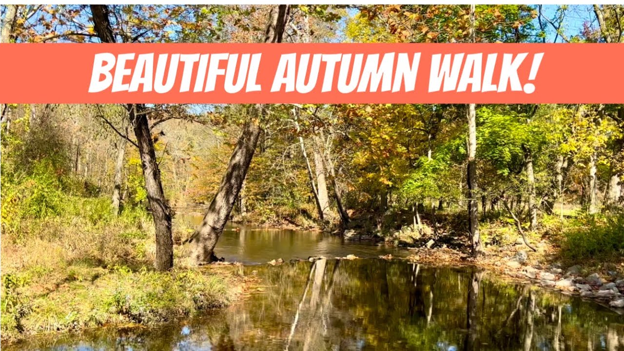 Beautiful Autumn Walk! Creeks, Woods, Meadows! 4K! Warwick State Park ...
