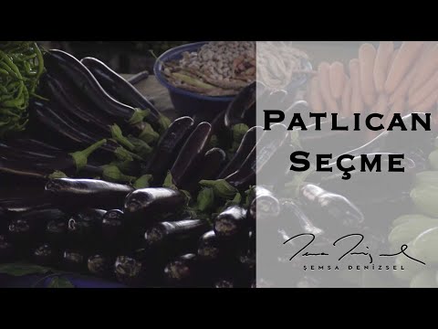 Patlıcan Seçme | Şemsa Denizsel