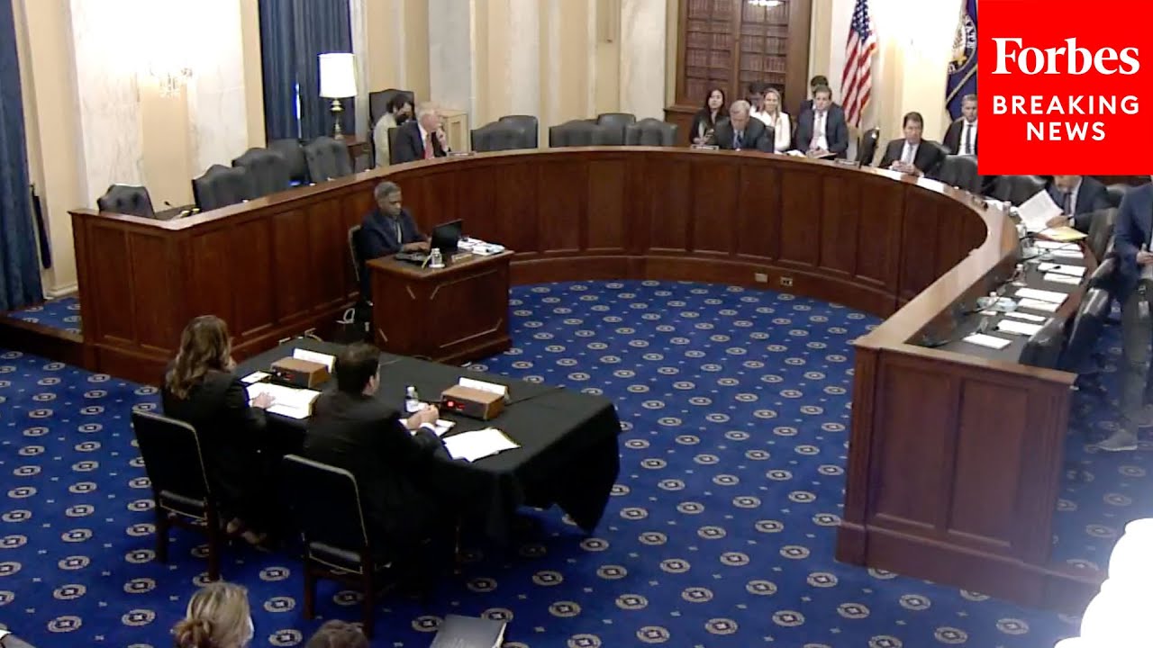 Senate Rules Committee Holds Hearing On DISCLOSE Act - YouTube