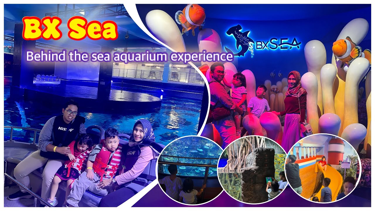 BXSea bintaro xchange mall - boat tour di Aquarium laut terbesar dan ...