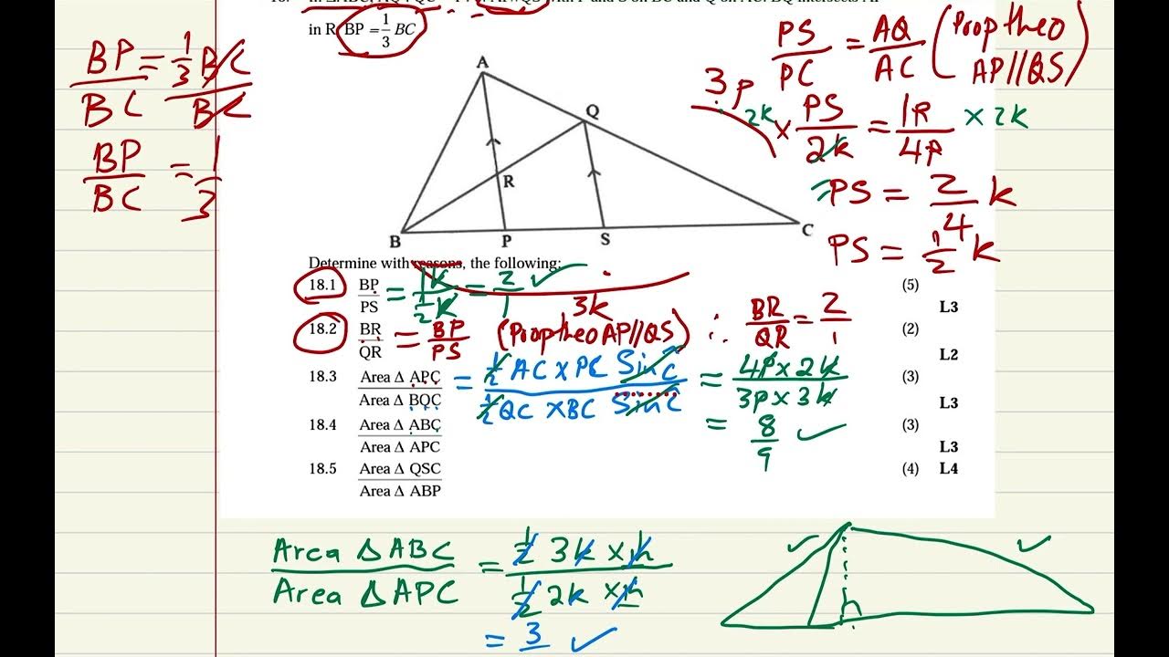 How to study I Mathematics I Grade 12 I Euclidean Geometry problem(proportionality theorem ...