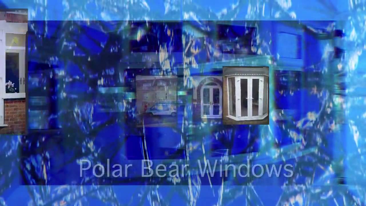 Polar Bear Windows Montage window range HD - YouTube