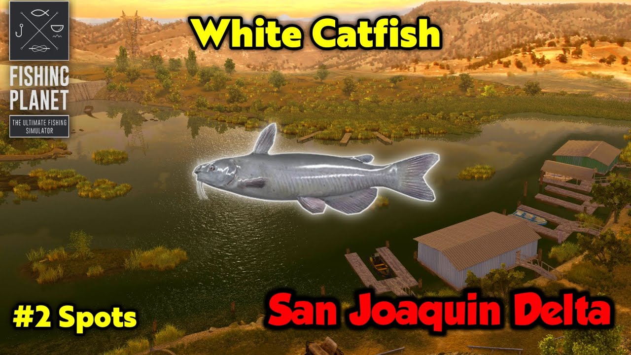 White Catfish San Joaquin Delta - Fishing Planet - YouTube