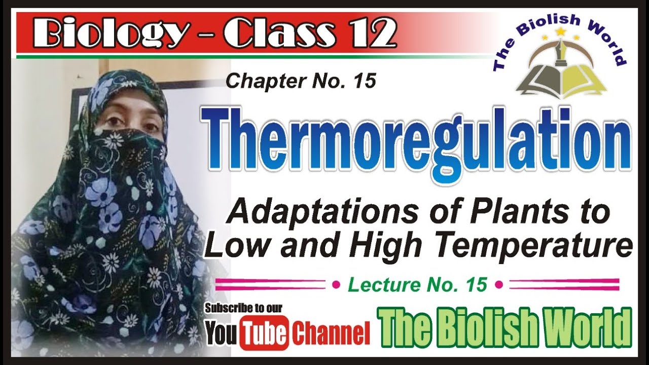 Thermoregulatory Adaptations of Plants to Low and High Temperature ...
