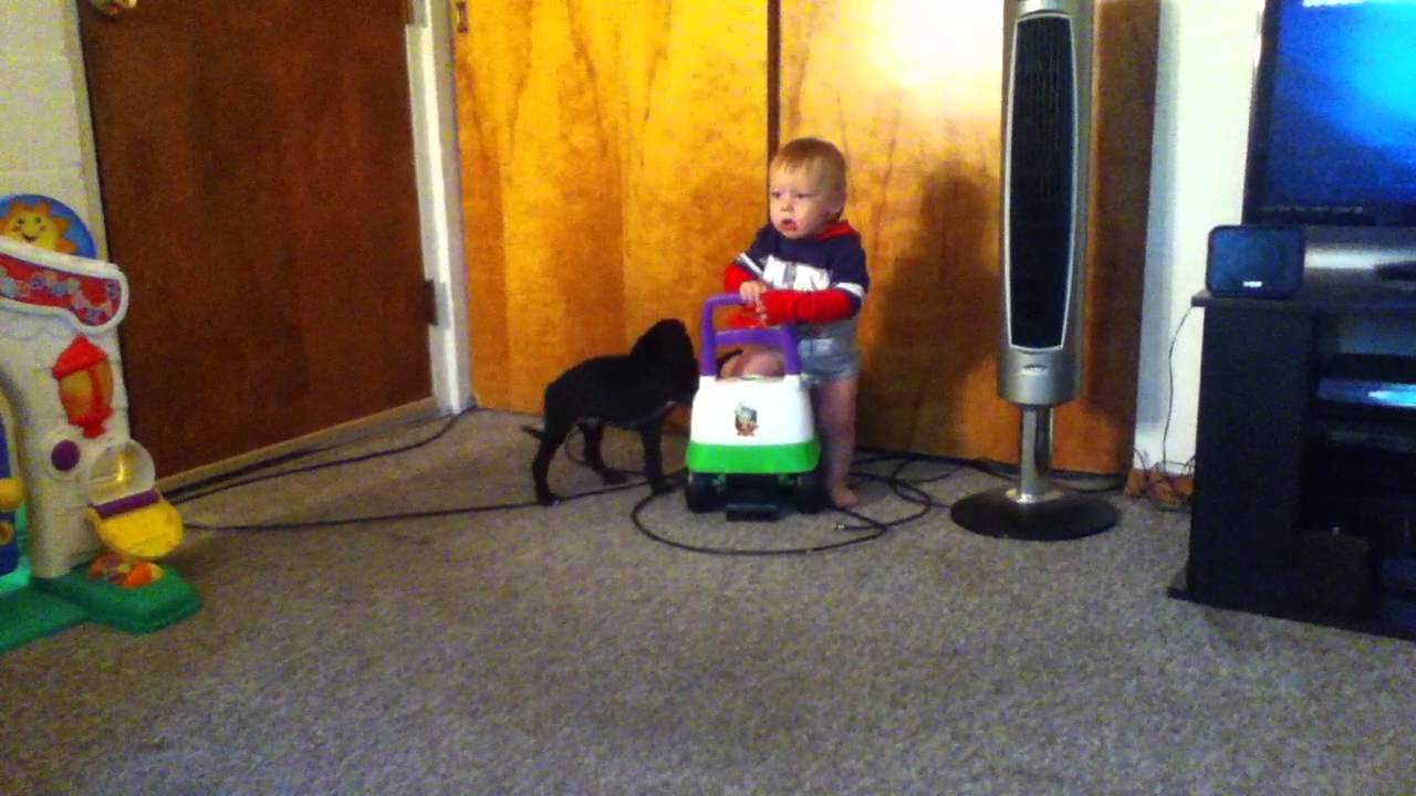 Baby vs. Dog. - YouTube